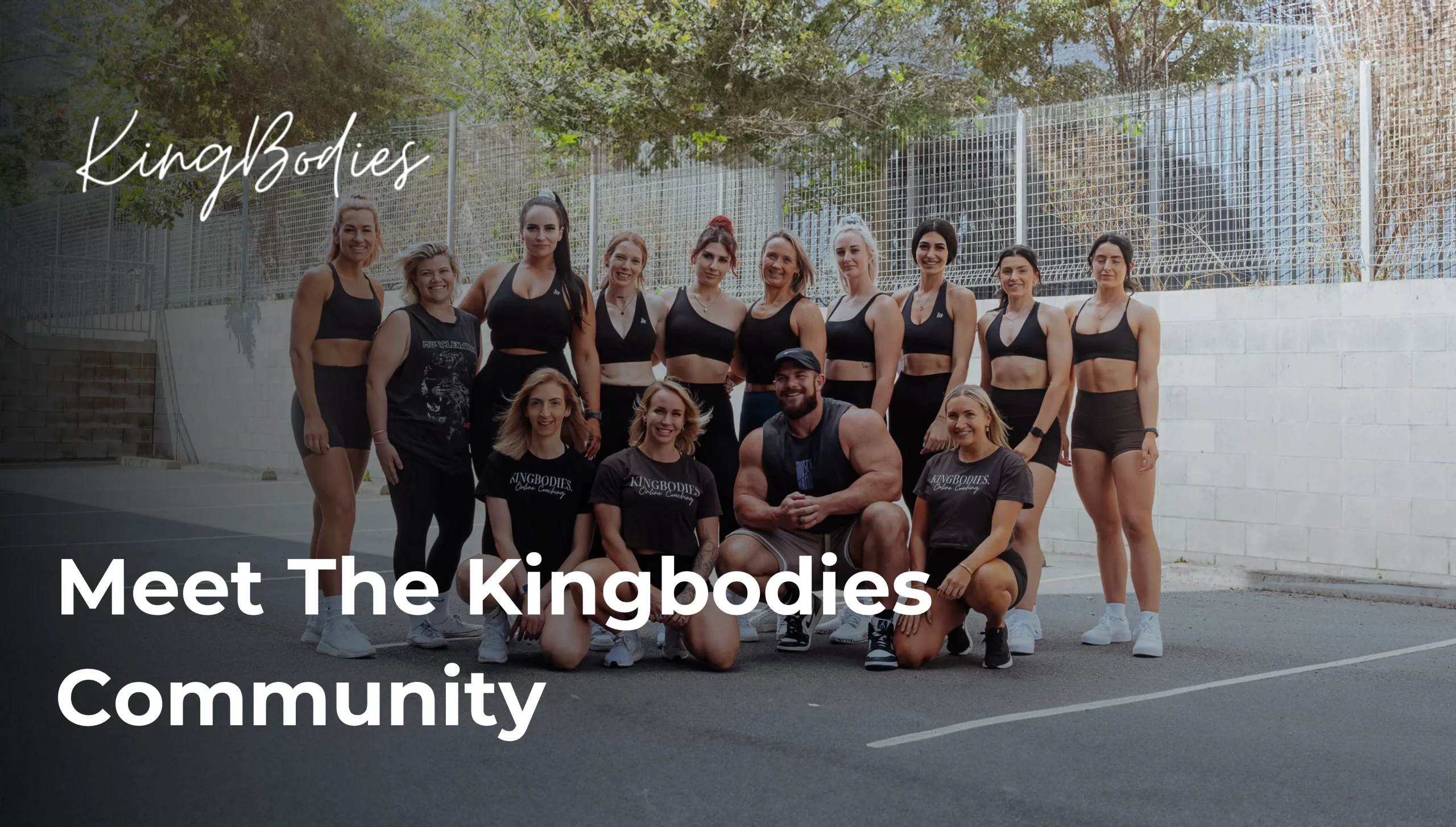 Client Success - KingBodies